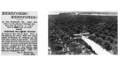 History - Dr. Phillips Inc. | The Dr. P Phillips Foundation